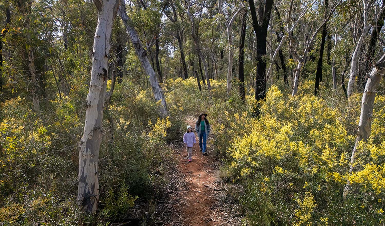 Broad Swamp Loop Walk (6km) - Gardens of Stone State Conservation Area, NSW