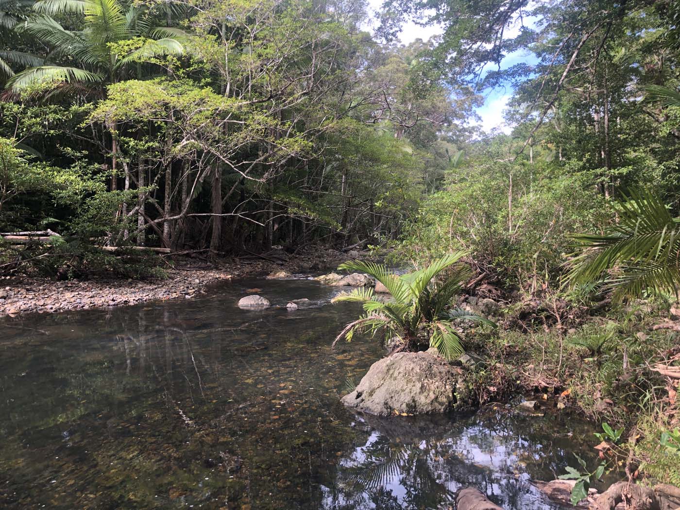 Conway Circuit Hike (27km) - Conway National Park, QLD