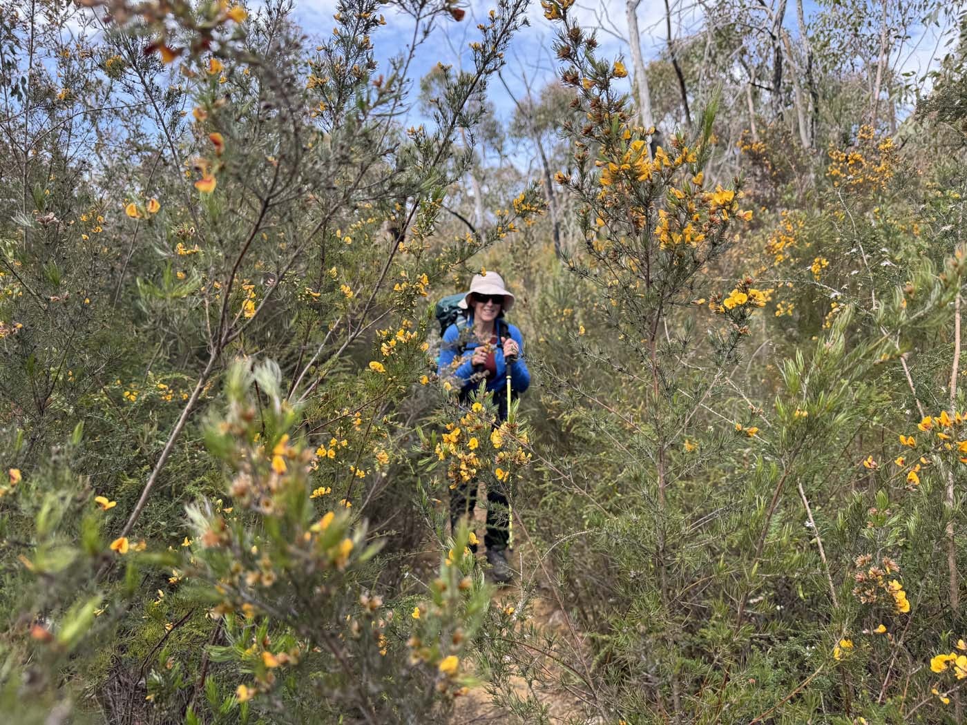 Mount Difficult Range Traverse (26km) - Grampians National Park, VIC