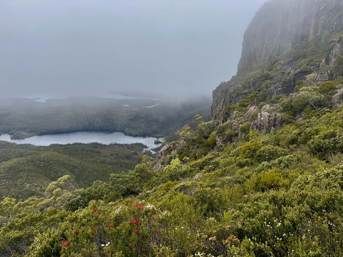 Mount King William 1 Summit Hike (11km) - Franklin-Gordon Wild Rivers ...