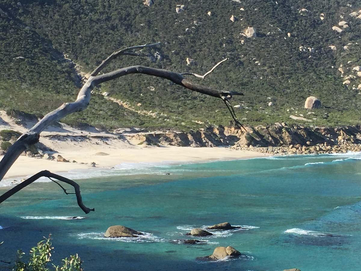 Mount Oberon Summit Walk (6.8km) - Wilsons Promontory National Park, VIC