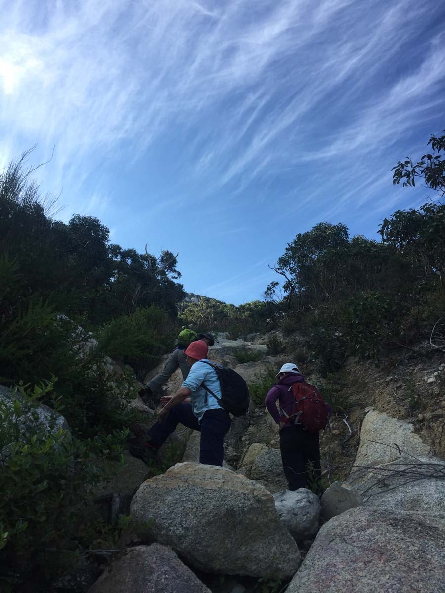 Mount Oberon Summit Walk (6.8km) - Wilsons Promontory National Park, VIC
