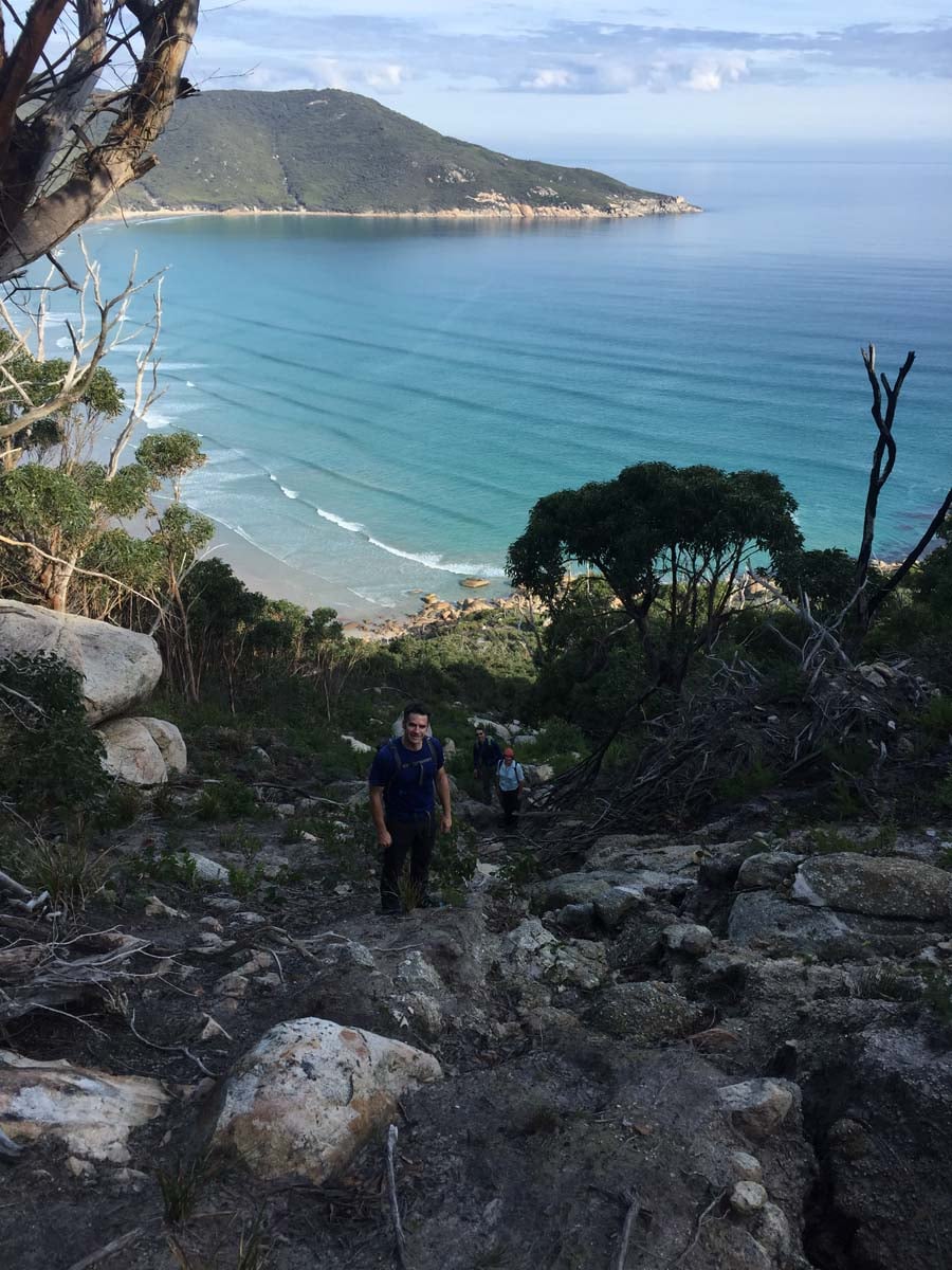 Mount Oberon Summit Walk (6.8km) - Wilsons Promontory National Park, VIC