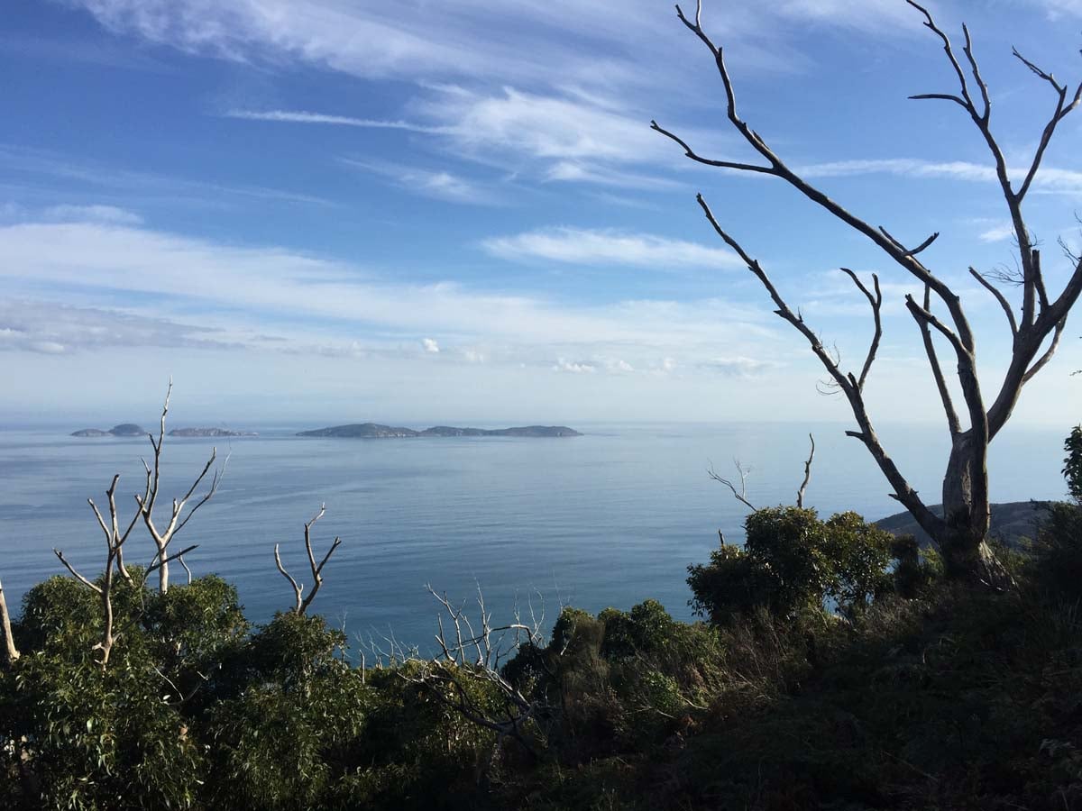 Mount Oberon Summit Walk (6.8km) - Wilsons Promontory National Park, VIC