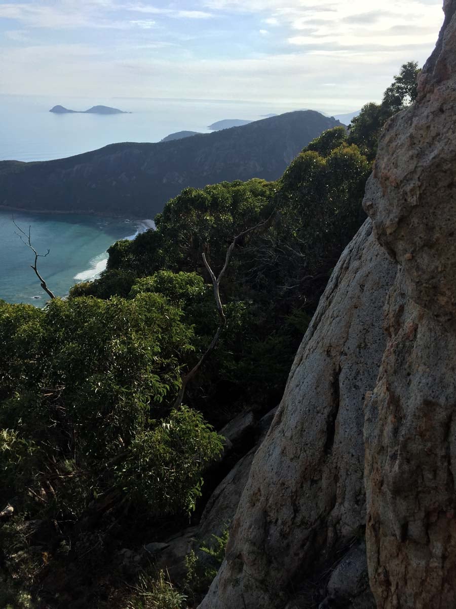 Mount Oberon Summit Walk (6.8km) - Wilsons Promontory National Park, VIC