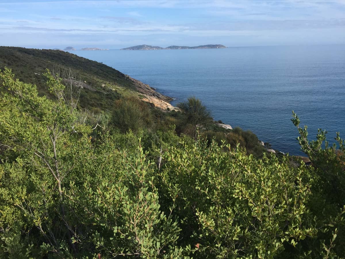 Mount Oberon Summit Walk (6.8km) - Wilsons Promontory National Park, VIC