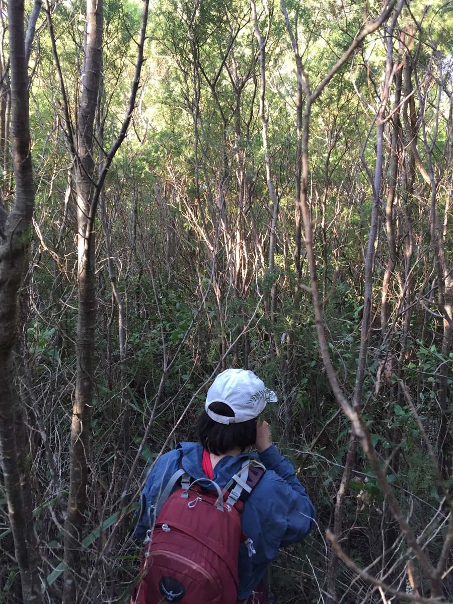 Mount Oberon Summit Walk (6.8km) - Wilsons Promontory National Park, VIC
