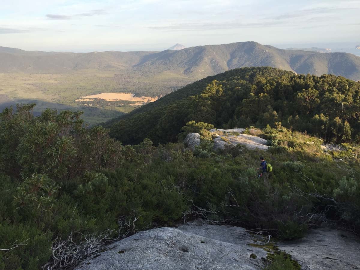 Mount Oberon Summit Walk (6.8km) - Wilsons Promontory National Park, VIC