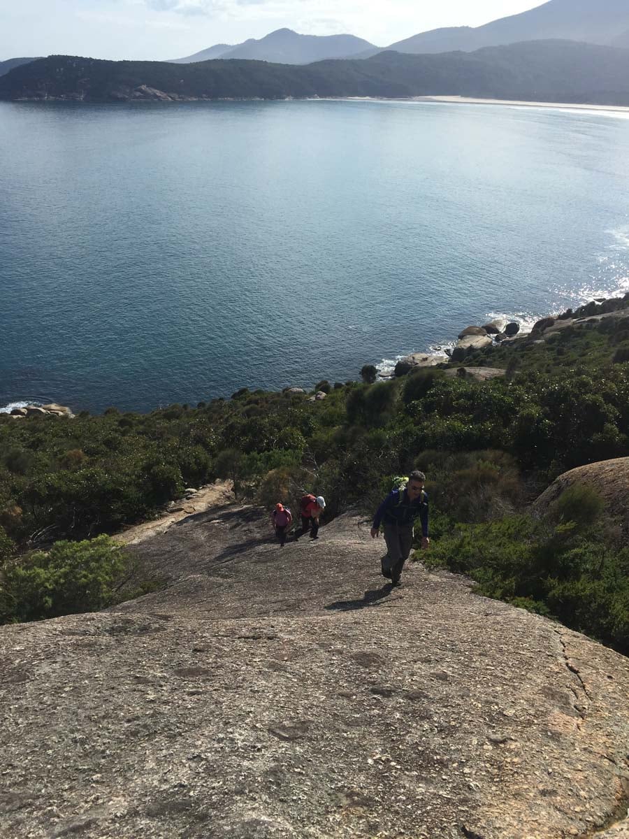 Mount Oberon Summit Walk (6.8km) - Wilsons Promontory National Park, VIC