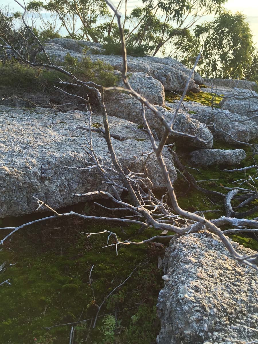 Mount Oberon Summit Walk (6.8km) - Wilsons Promontory National Park, VIC