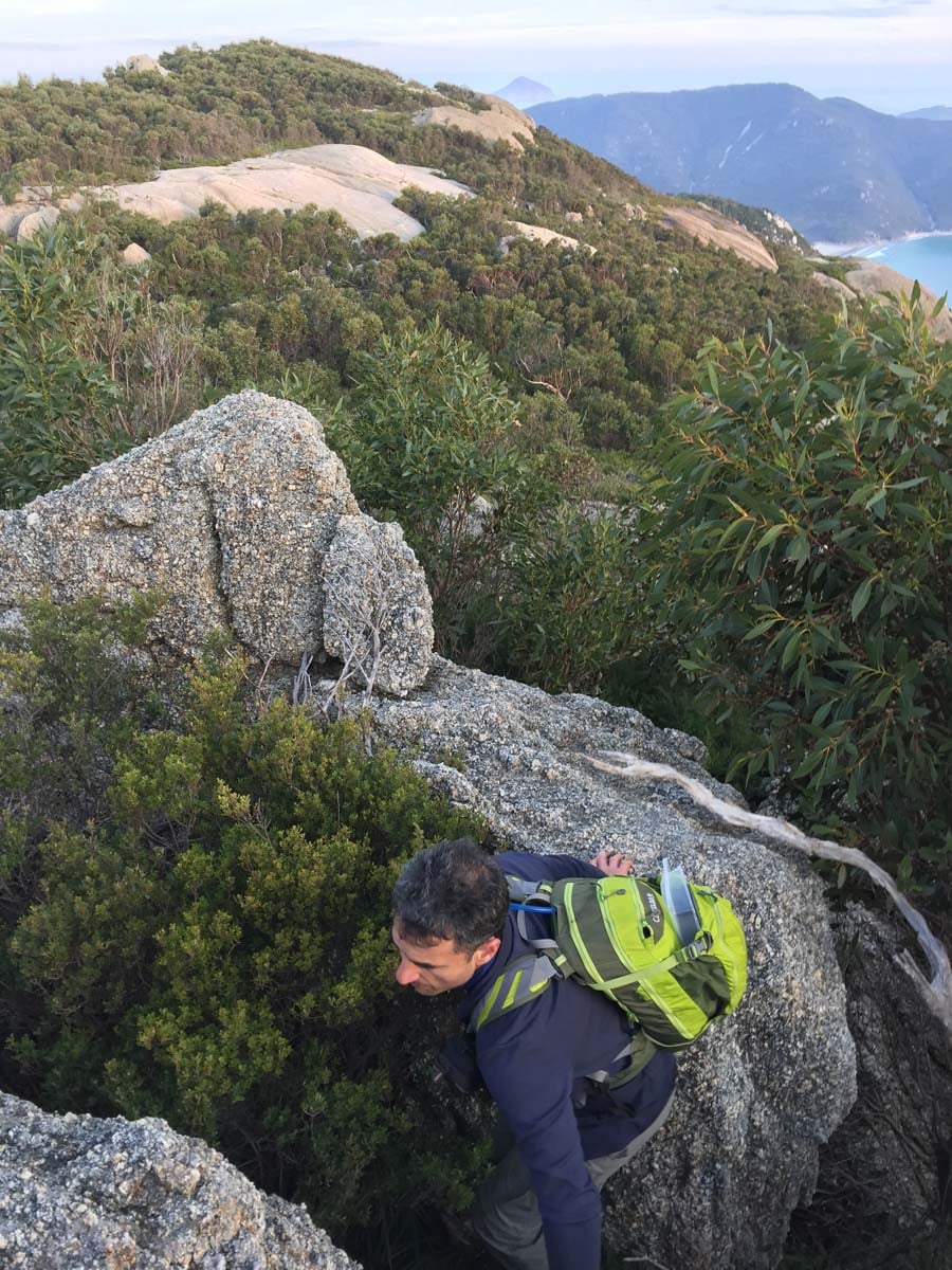 Mount Oberon Summit Walk (6.8km) - Wilsons Promontory National Park, VIC