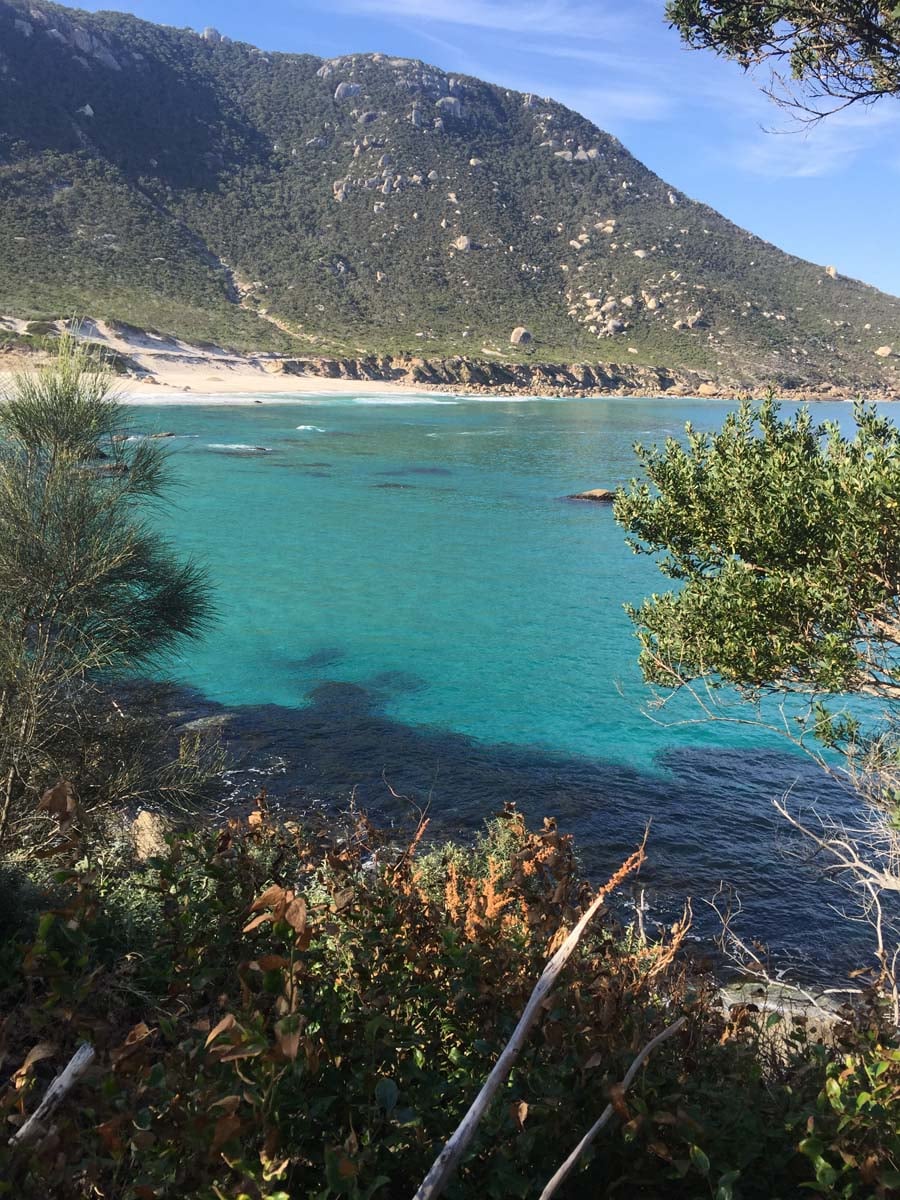 Mount Oberon Summit Walk (6.8km) - Wilsons Promontory National Park, VIC