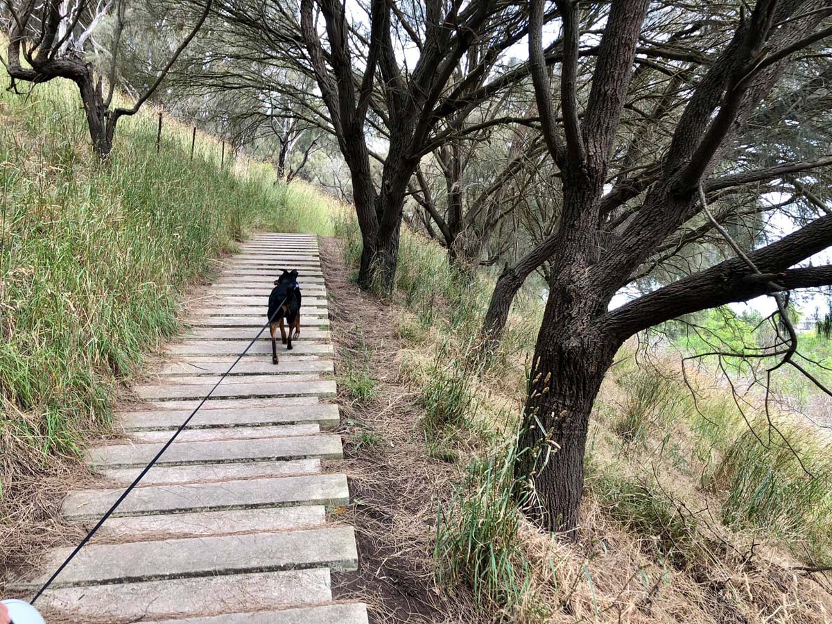 Mount Schank Crater Rim Walk (3.3km) - Mount Schank State Heritage Area, SA