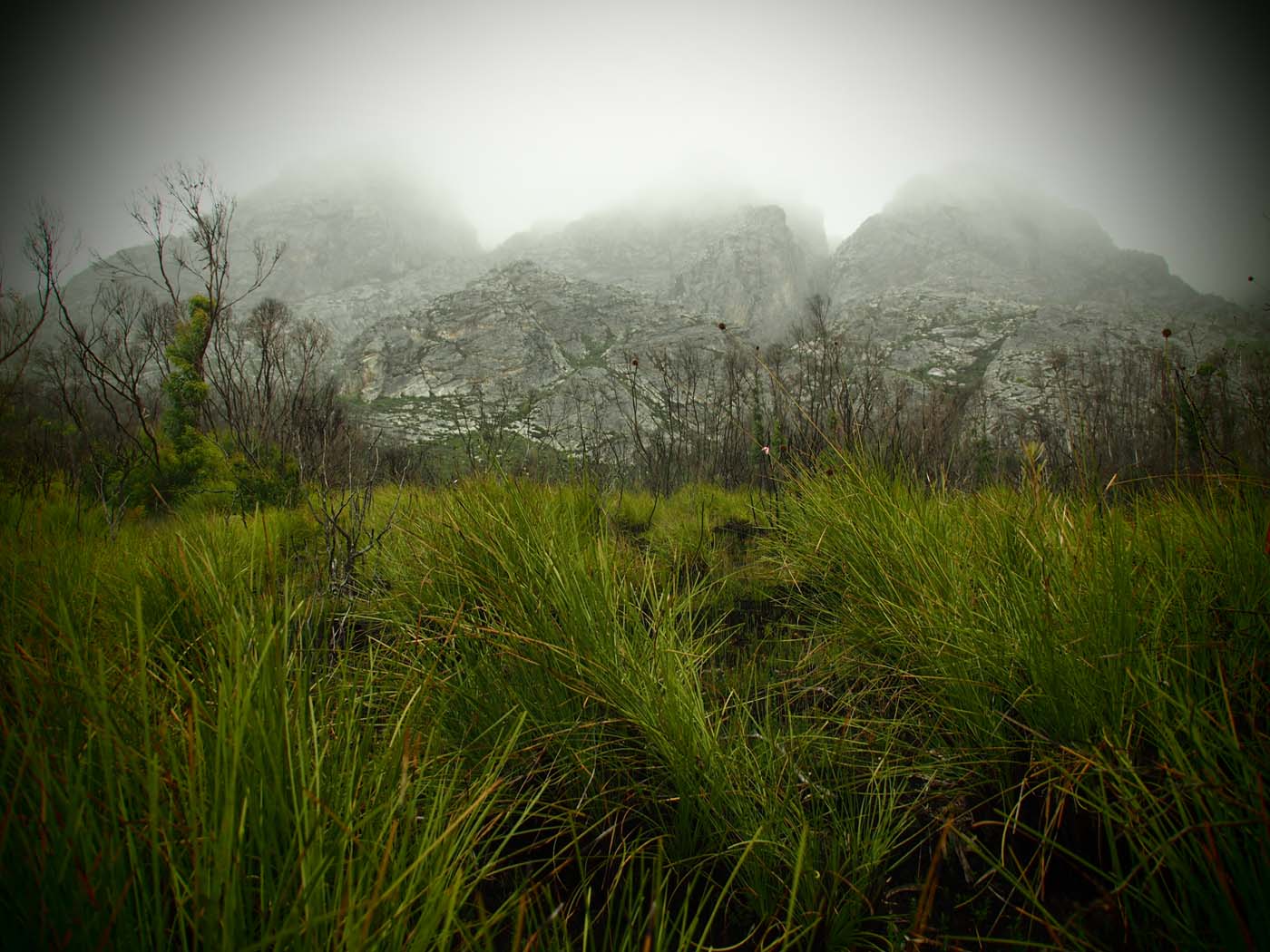 Sentinels Summit Track (3.5km) - Southwest National Park, TAS