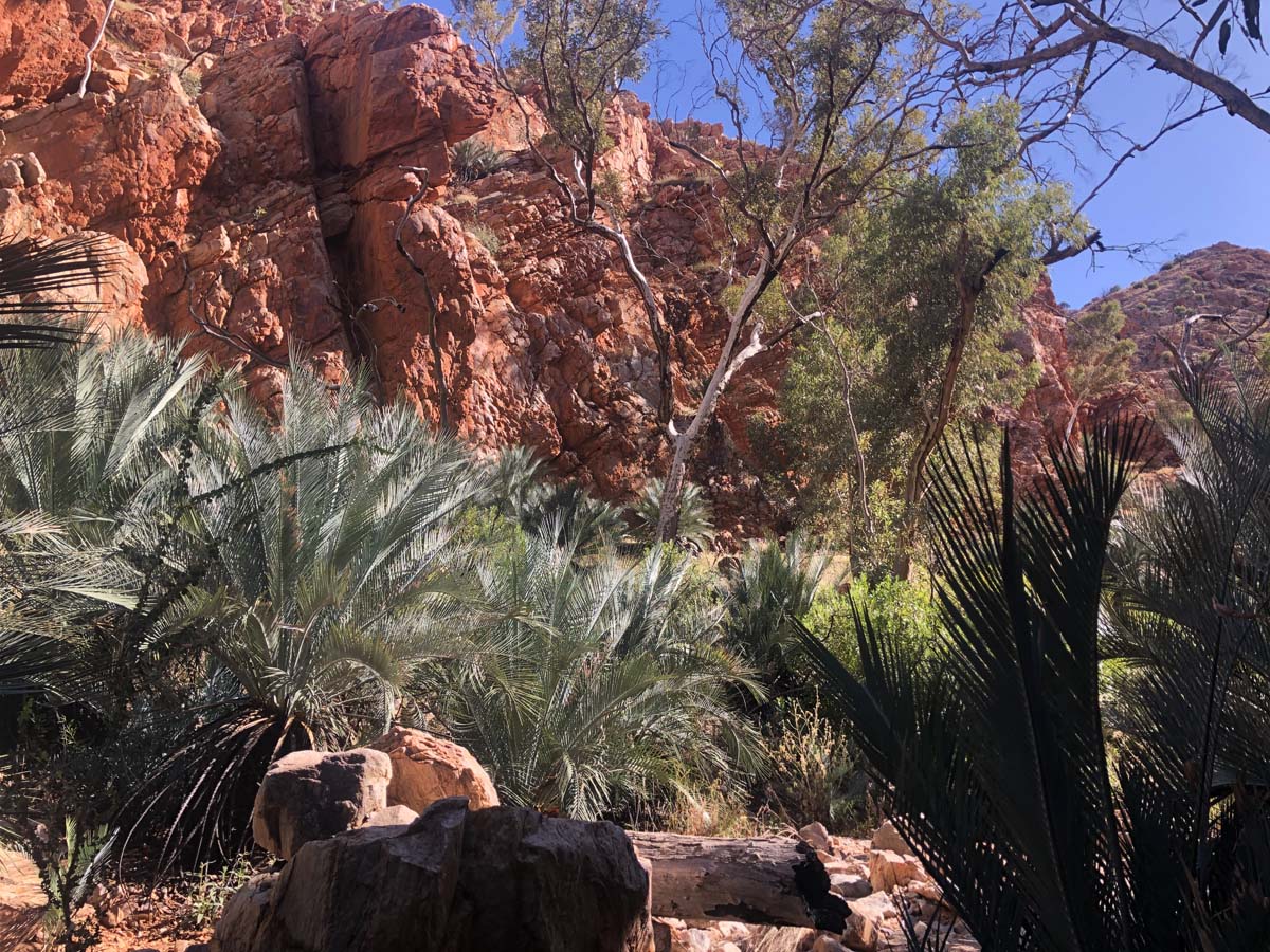Standley Chasm High Route Loop Hike (23km) - West MacDonnell National ...