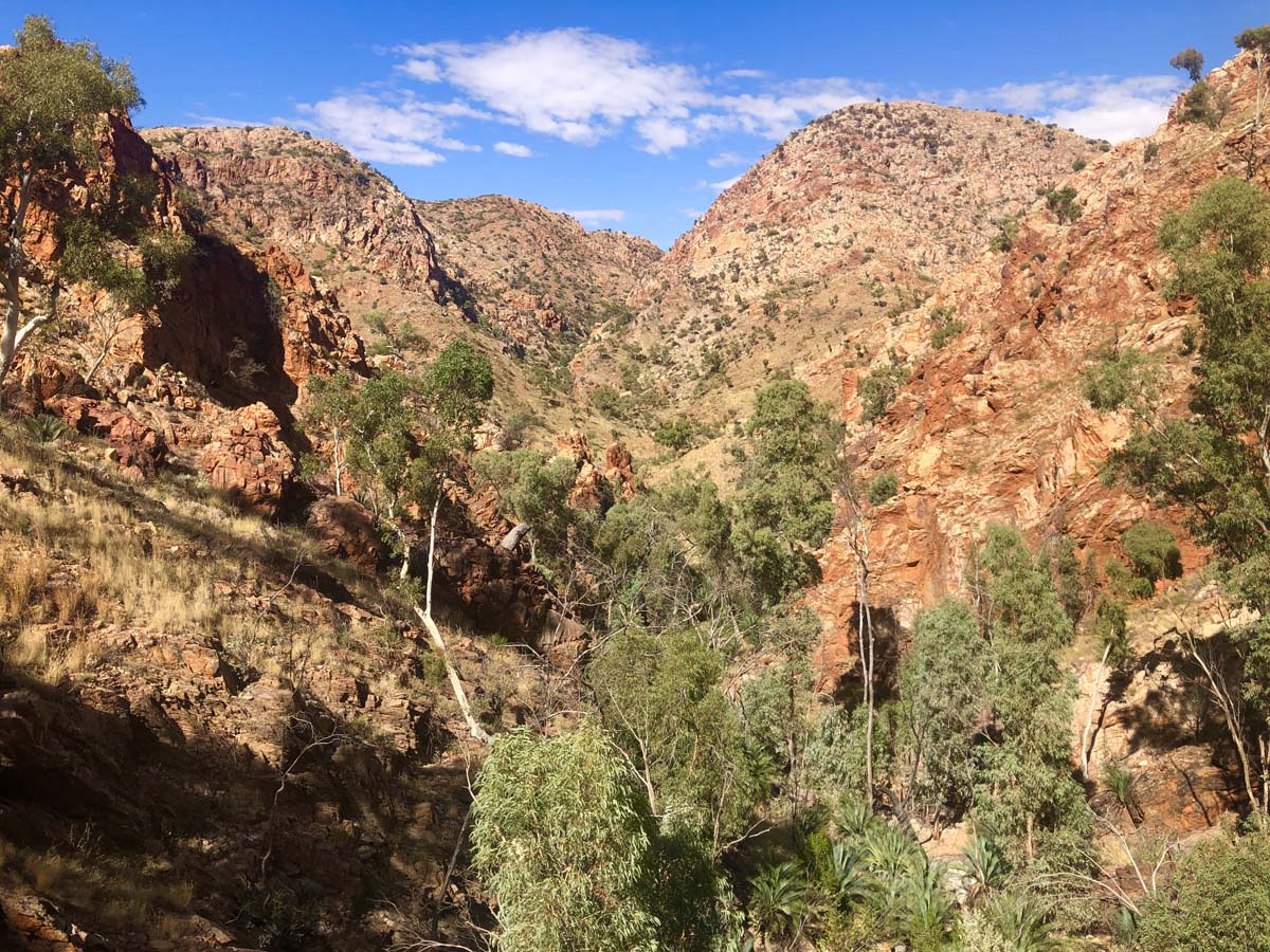 Standley Chasm High Route Loop Hike (23km) - West MacDonnell National ...