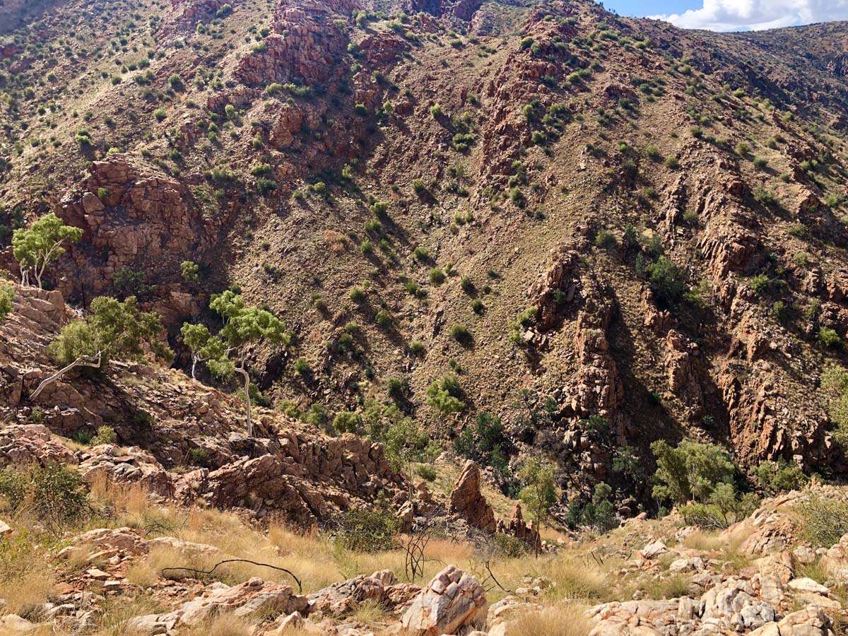 Standley Chasm High Route Loop Hike (23km) - West MacDonnell National ...
