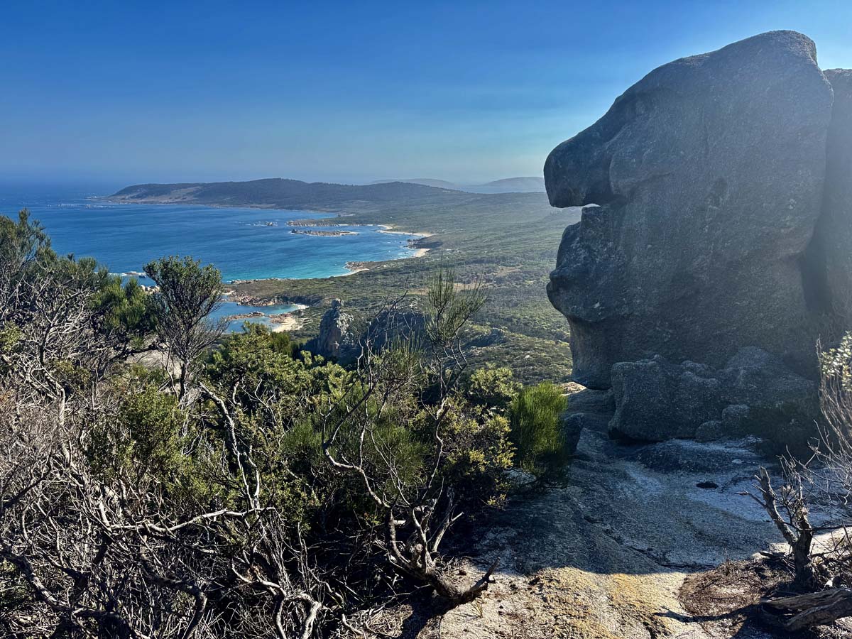 Wombat Rock Track Mt Killiecrankie (3.8km) - Killiecrankie Nature ...