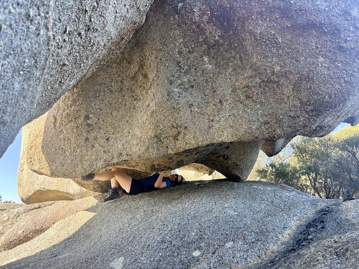 Wombat Rock Track Mt Killiecrankie (3.8km) - Killiecrankie Nature ...