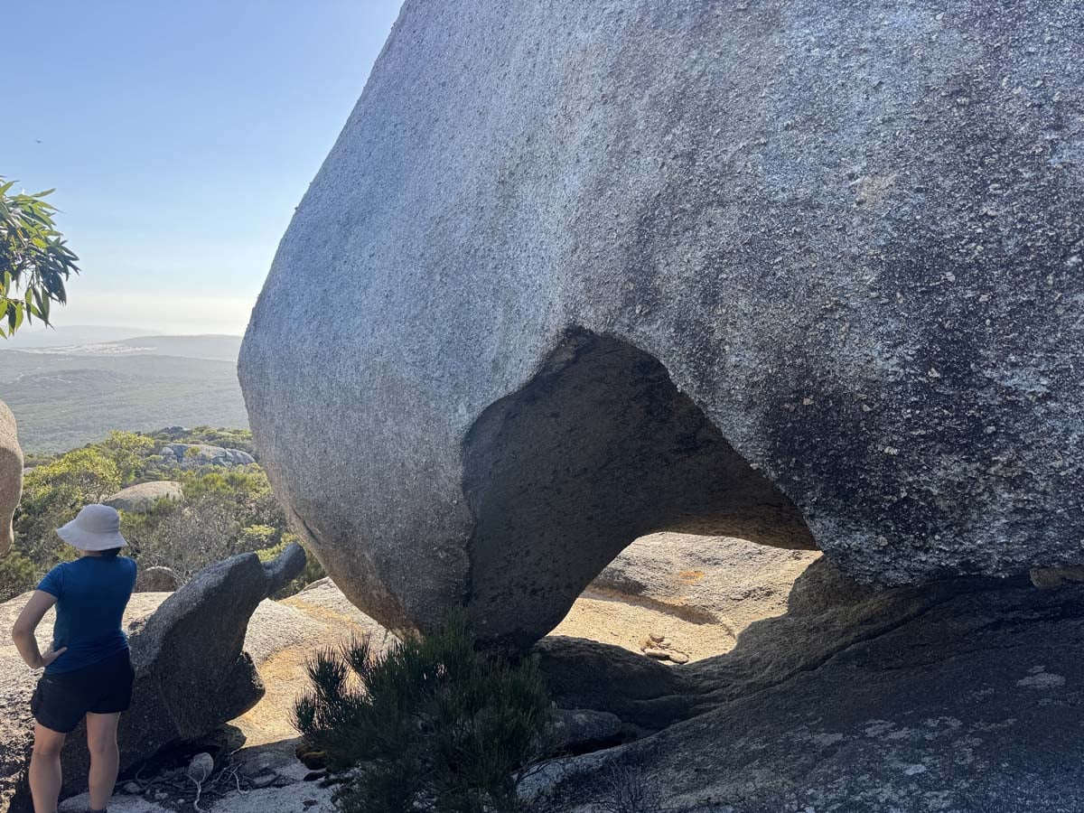 Wombat Rock Track Mt Killiecrankie (3.8km) - Killiecrankie Nature ...
