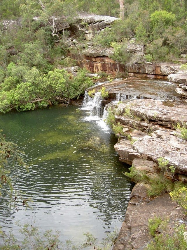 Winifred Falls Walk (4.4km) - Royal National Park, NSW