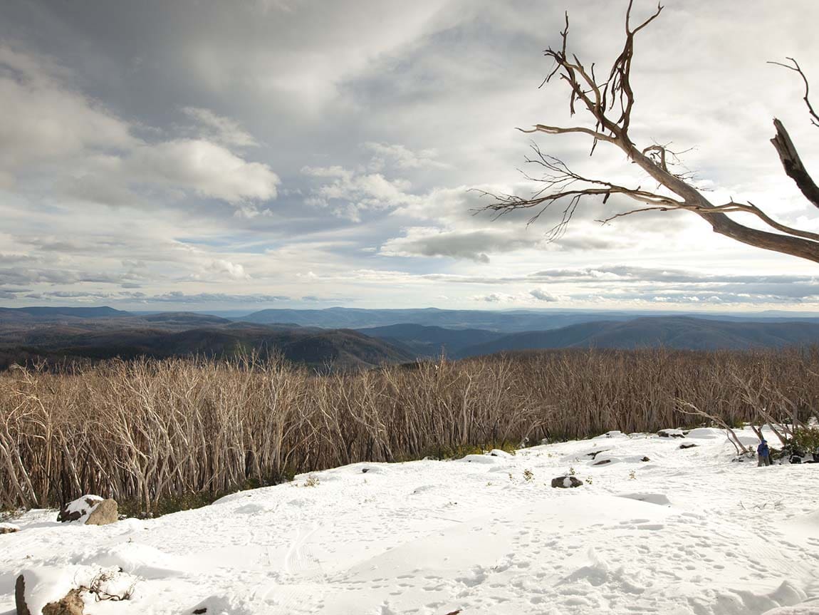 Lake Mountain & Keppel Hut Hike (21.7km) - Yarra Ranges National Park, VIC