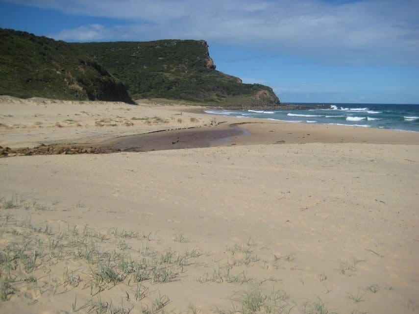 Stockyard Spur to Garie Beach Walk (3.3km) - Royal National Park, NSW