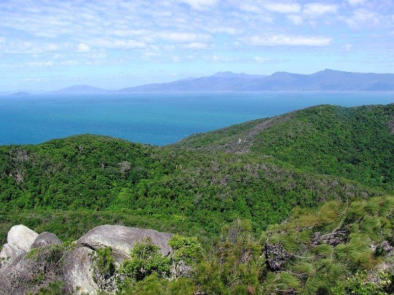 Summit Track (1.9km) - Mount Coot-tha Forest, QLD