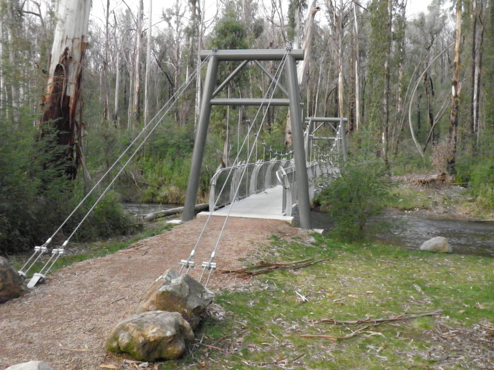 Mill Track Loop Hike (10.2km) - Murrindindi Scenic Reserve, VIC