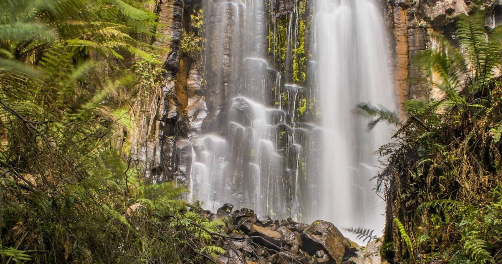 Cam Falls Walk (600 m) - Hampshire, TAS