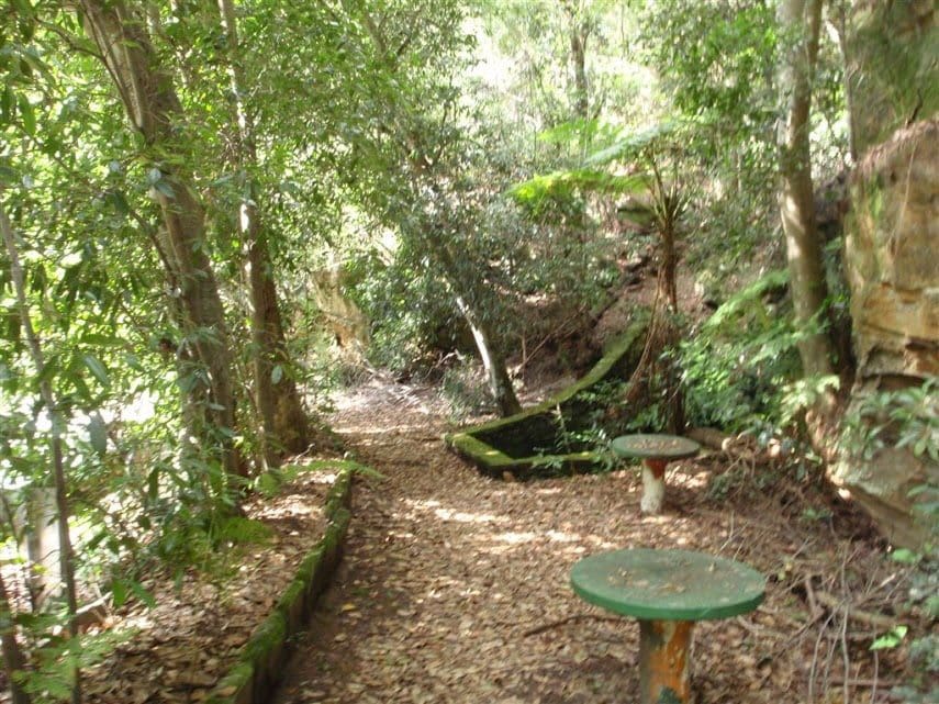 Kalkari & Birrawanna Loop Tracks Walk (5.2km) - Ku-ring-gai Chase ...