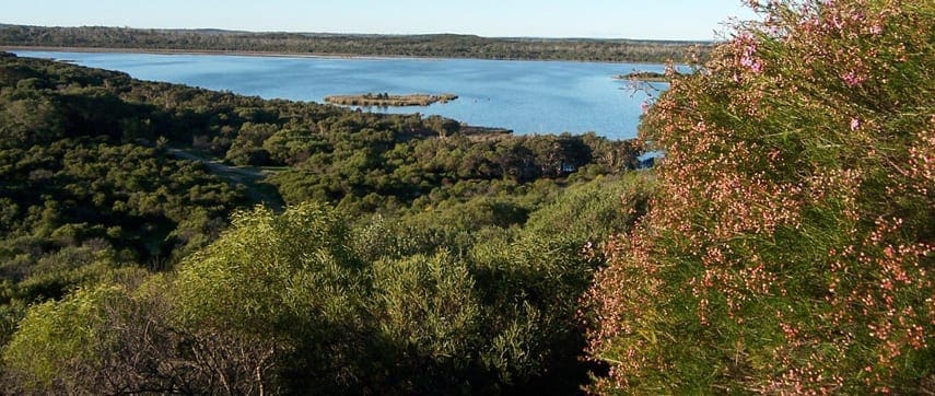 Lake Pollard Trail Walk (6km) - Yalgorup National Park, WA