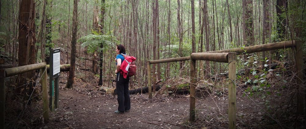 Labertouche South Hells Gate Hike (14km) - Labertouche Cave Geological ...