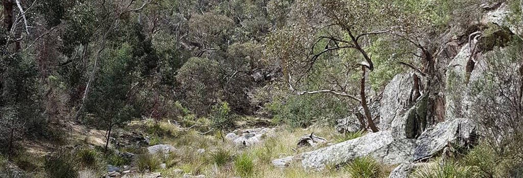 Trip Report - The Burchell Trail in 3 Stages
