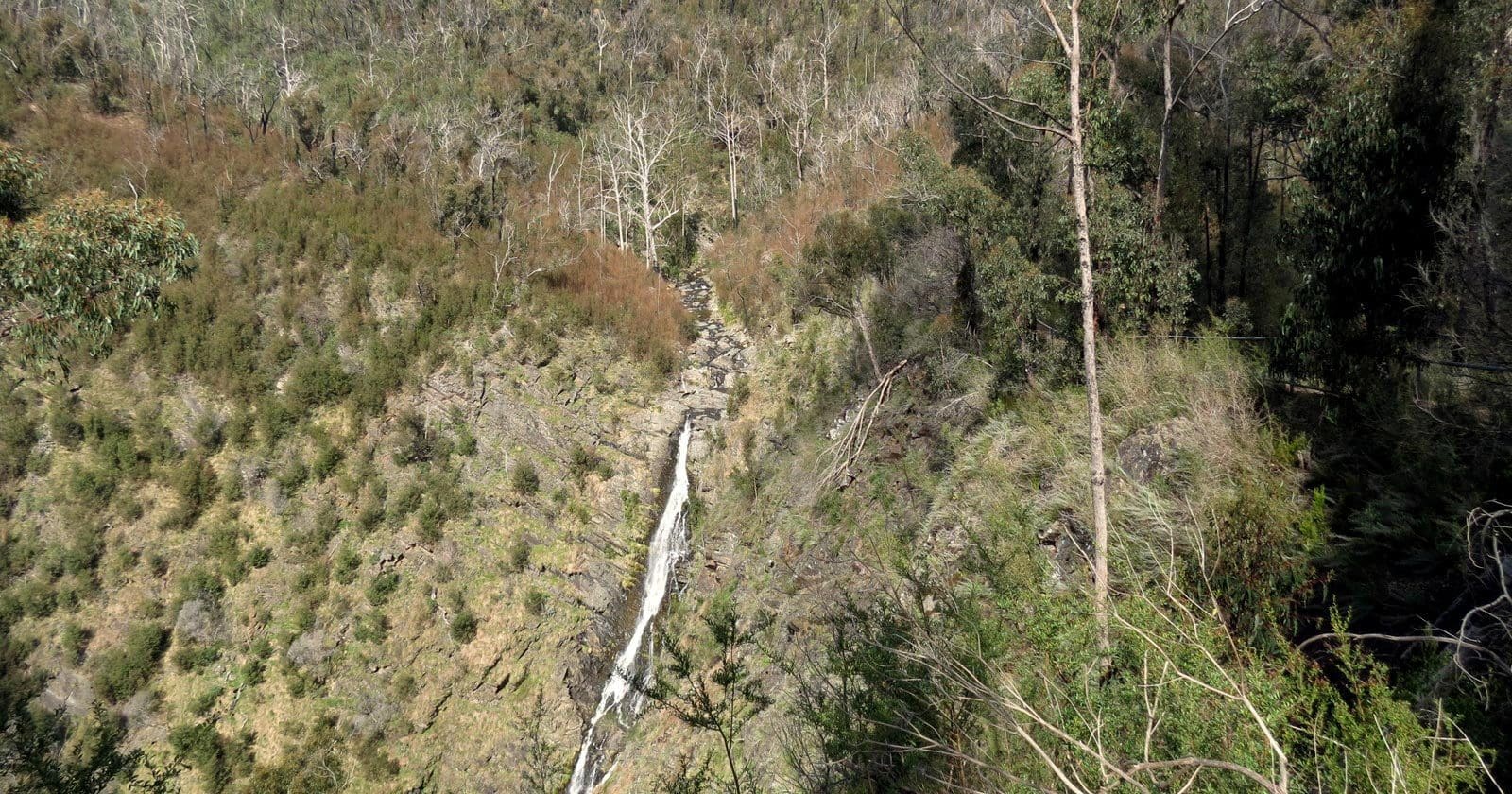 Strath Creek & Tunnel Falls Hike (14km) - Mount Disappointment State ...