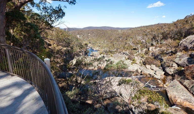Cascades Walking Track & Viewing Platform Walk (800m) - Wadbilliga ...