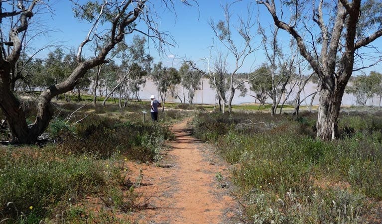 Wells Walk (4km) - Sturt National Park, NSW