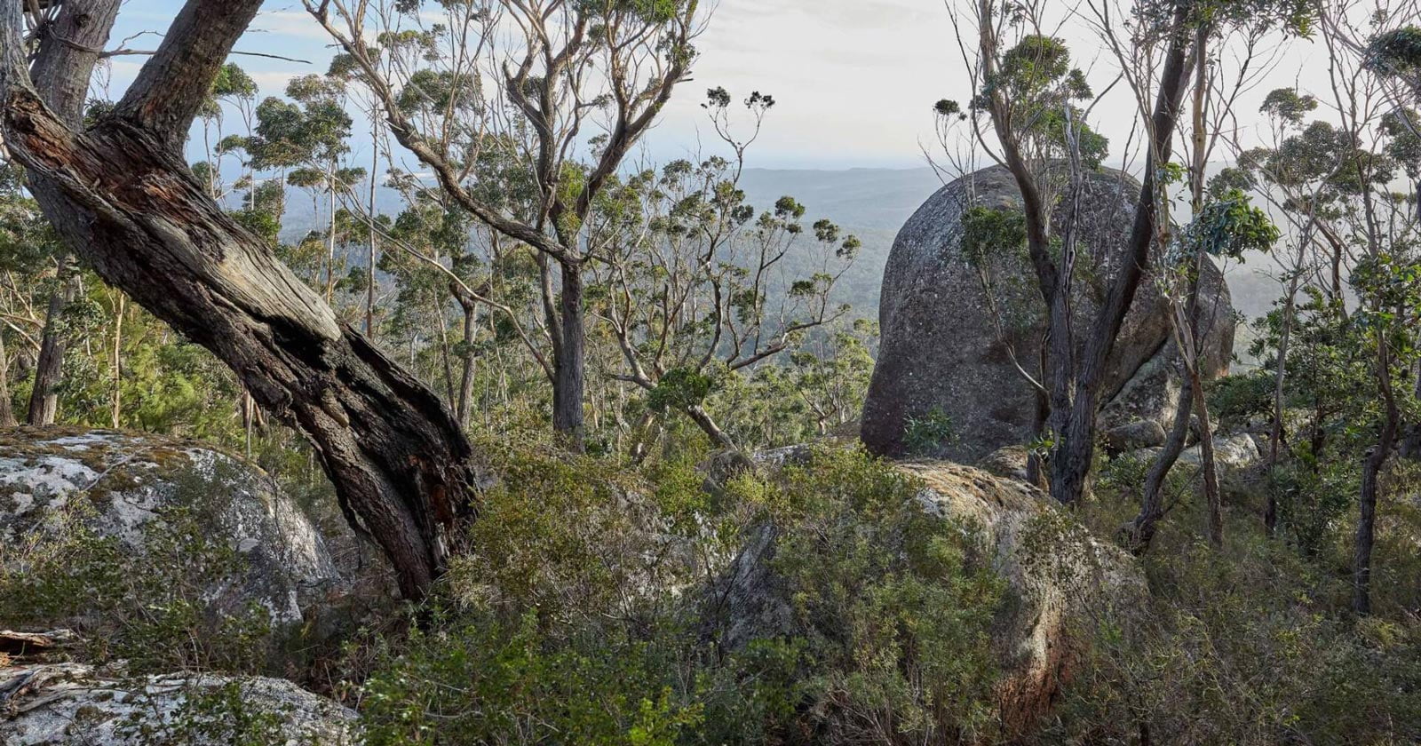 Mount Everard Hike (9.7km) - Croajingolong National Park, VIC