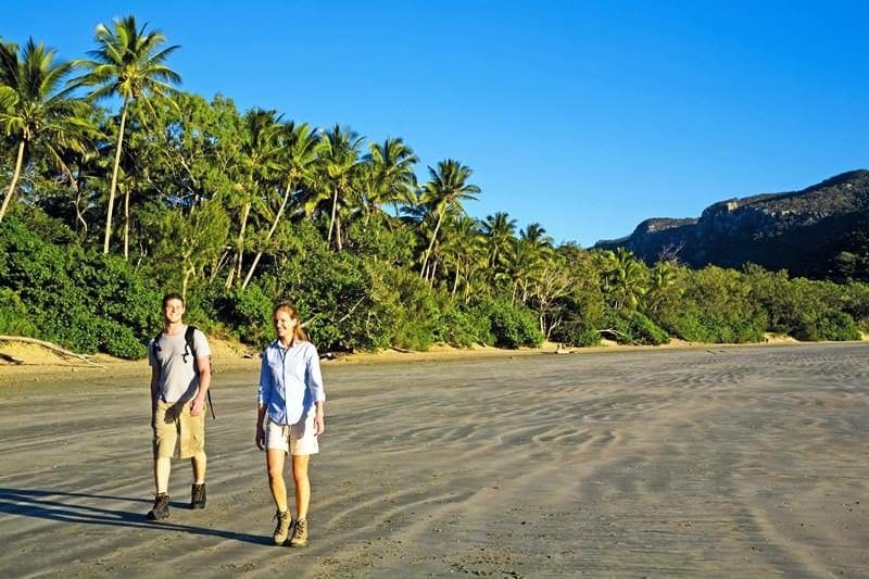 Beachcomber Cove Track (2.2km) - Cape Hillsborough National Park, QLD