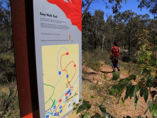 Easy Trail Walk (750m) - Ellis Brook Valley Reserve, WA