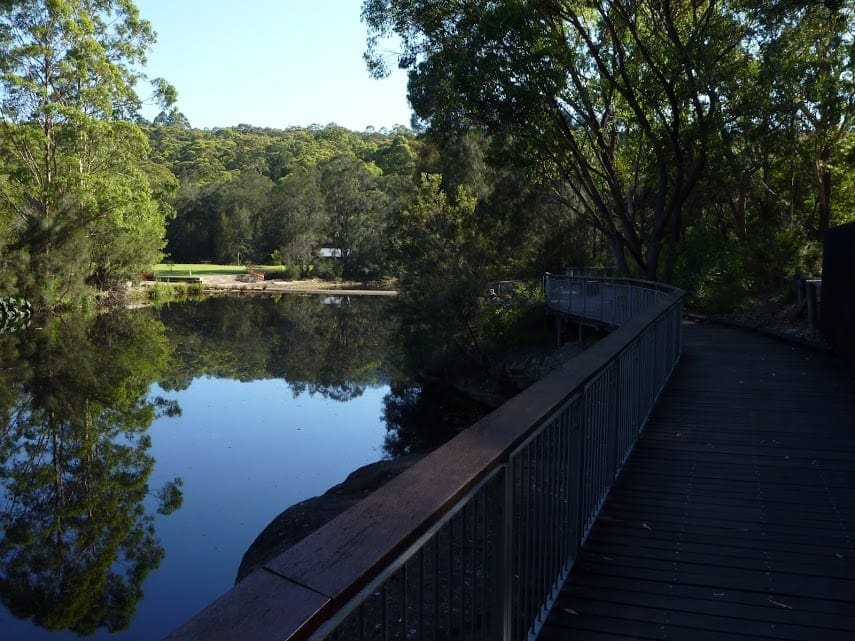 North Ryde Fairyland Circuit Hike (6.9km) - North Ryde, NSW