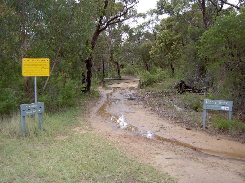Uloola Track Hike (11.3km) - Royal National Park, NSW