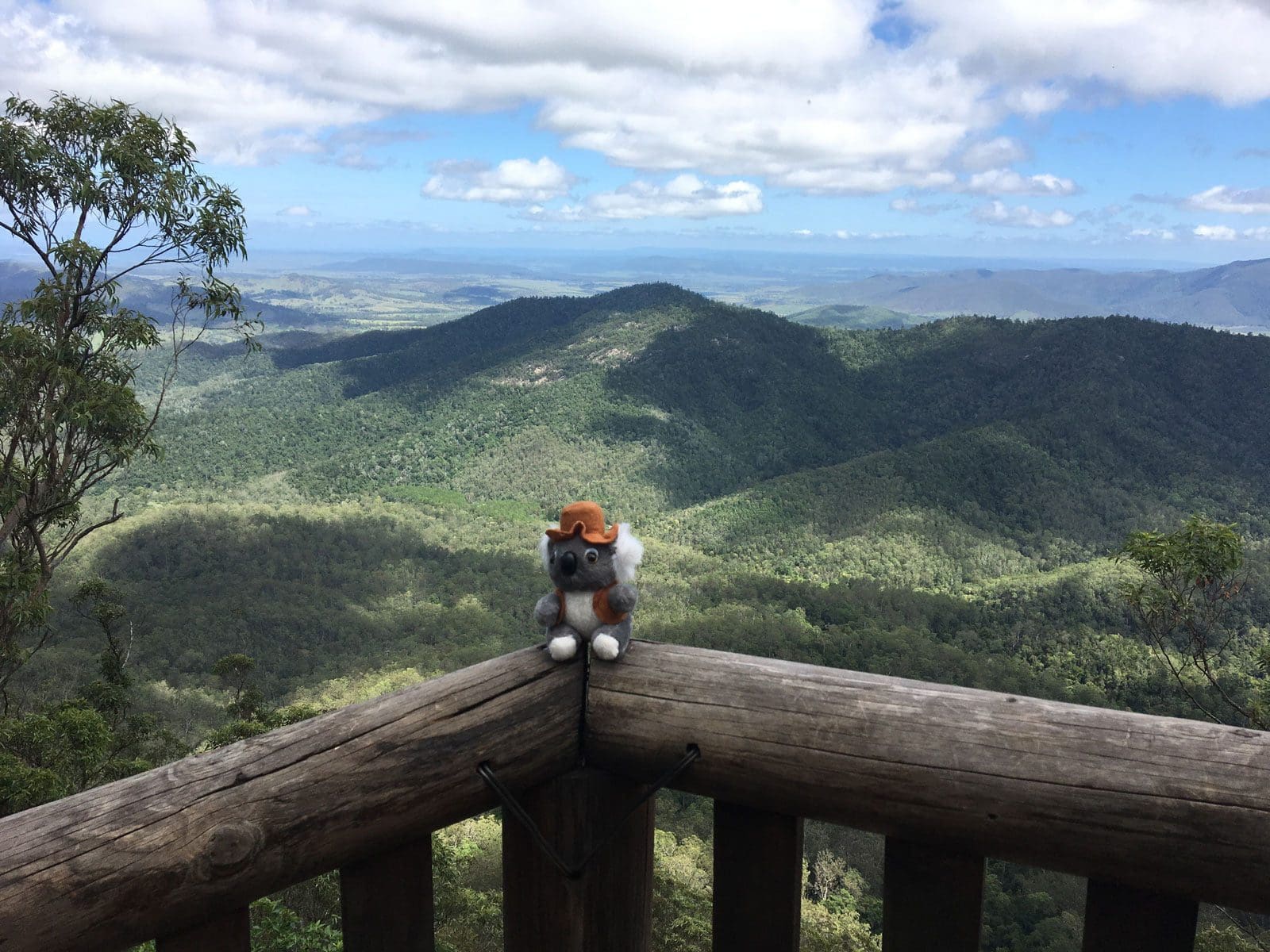 Somerset Trail Walk (13km) - D'Aguilar National Park, QLD