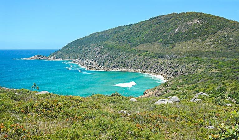 Monument Hill Walking Track (1.4km) - Arakoon National Park, NSW