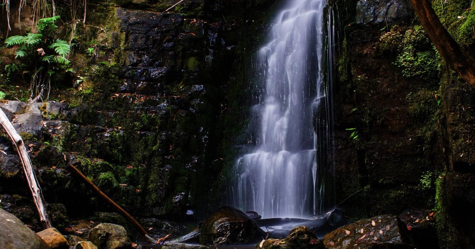 O'Gradys Falls Walk (2.5km) - Hobart, TAS