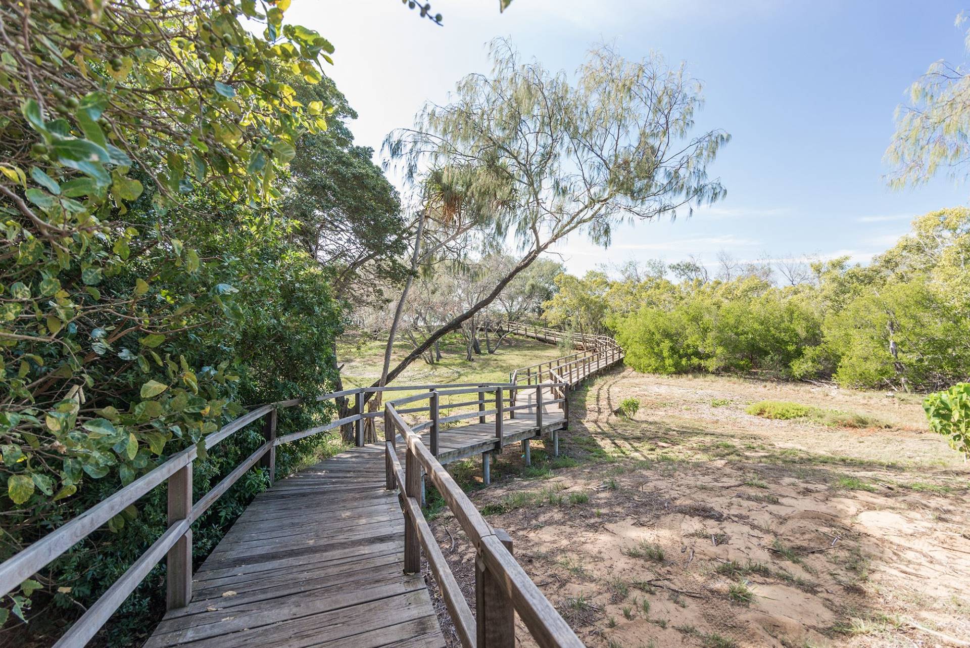 Mon Repos Walking Track (4.5km) - Bundaberg, QLD