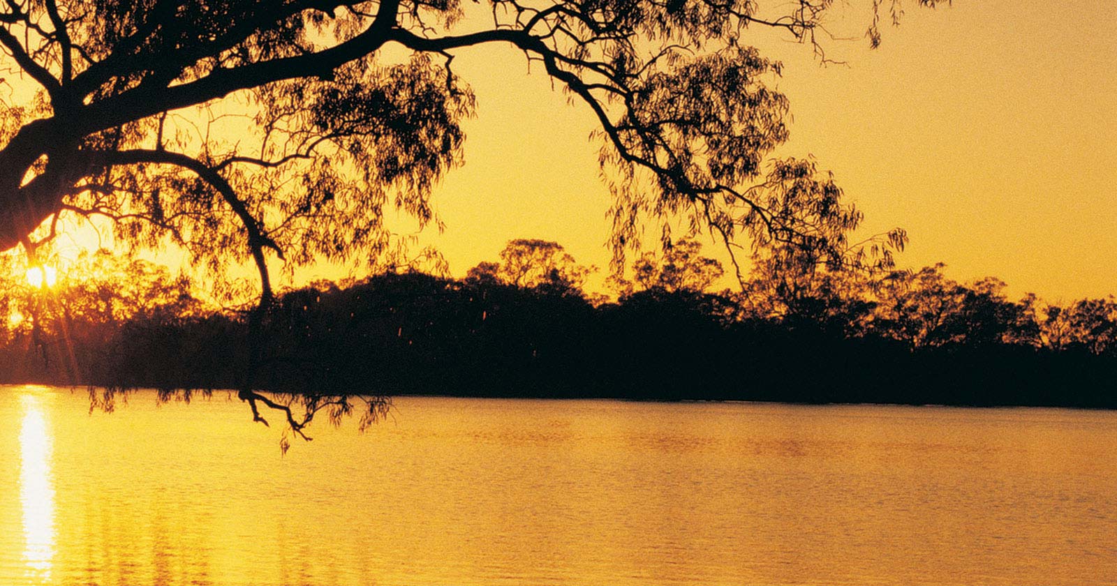 Bugle Ridge Lake Brockie Loop Hike (11.5km) - Hattah-Kulkyne National ...