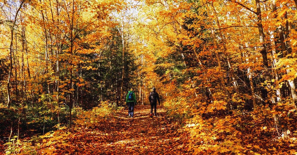 Hiking in different seasons: Tips for exploring year-round