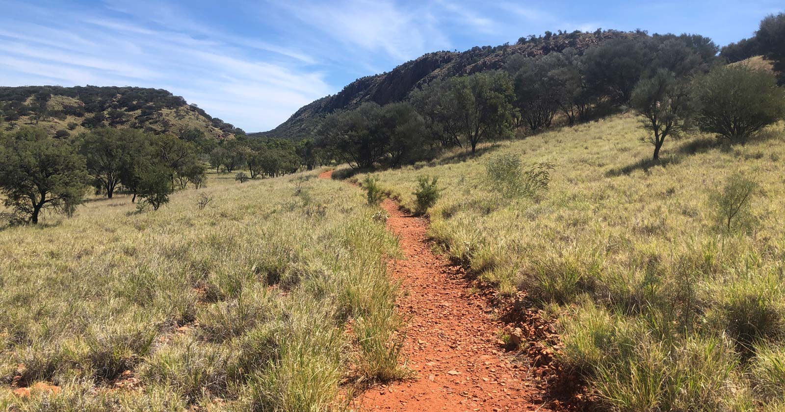 Yeperenye Trail Walk (8km) - Yeperenye / Emily and Jessie Gaps Nature ...
