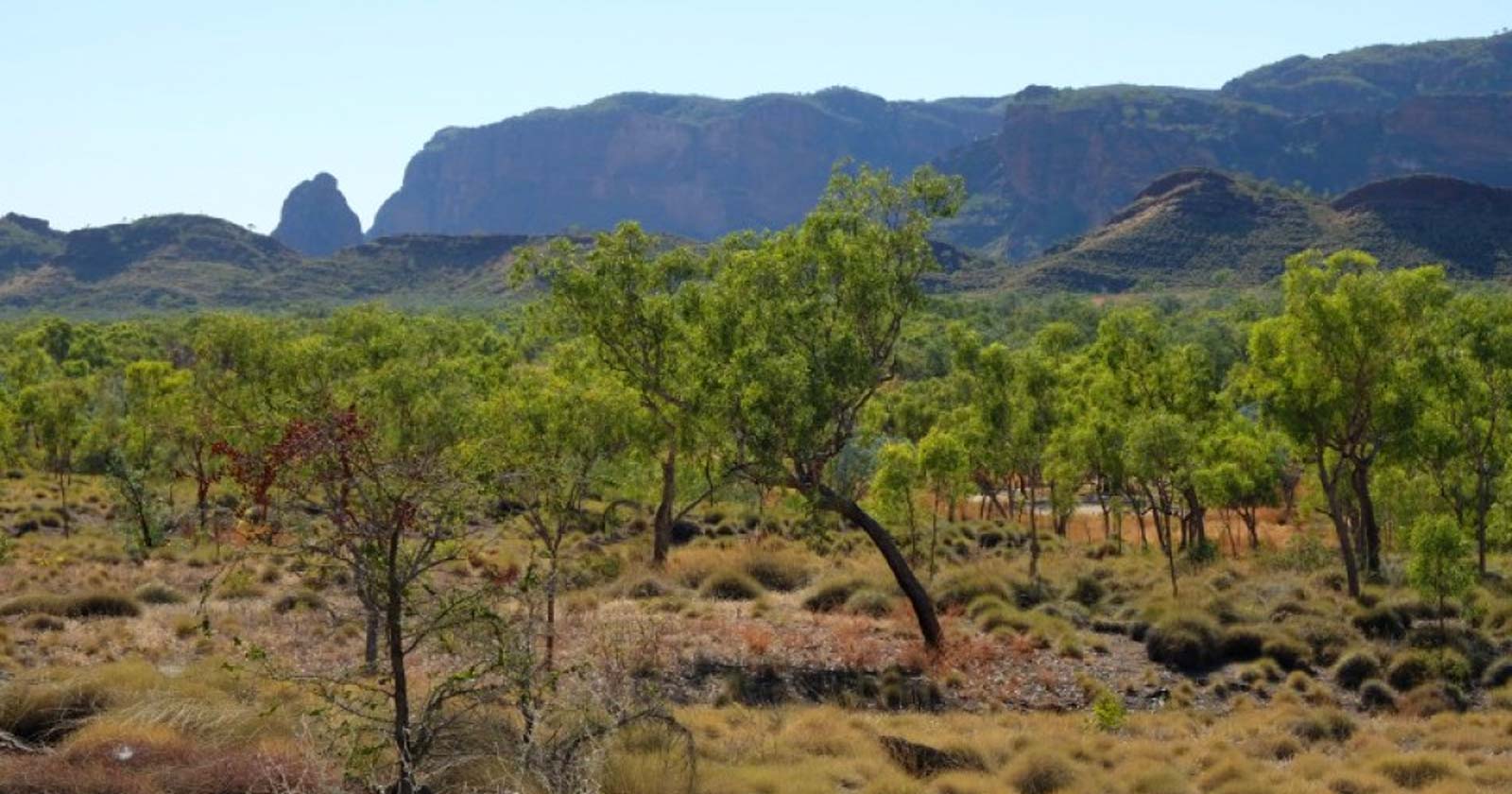 Northern Escarpment Trail Walk (7.5km) - Purnululu National Park, WA